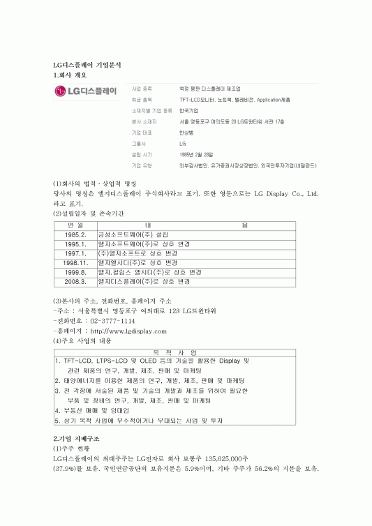 LG디스플레이 기업분석