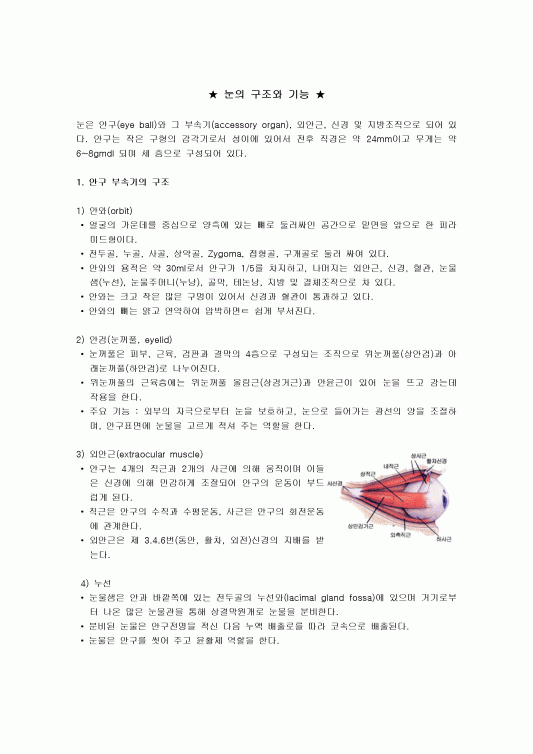 눈의 구조와 기능