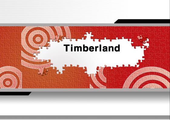 Timberland 기업분석