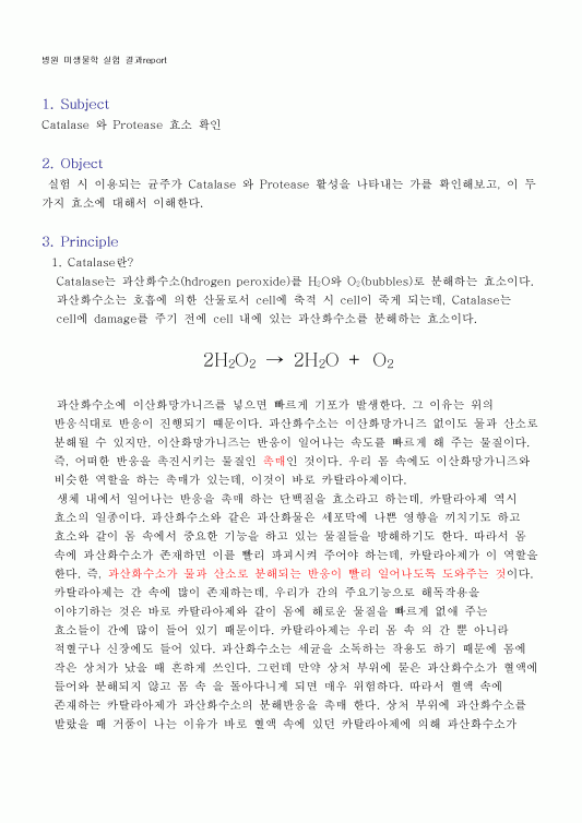 병원미생물학실험_report_6_(Catalase 와 Protease 효소 확인)