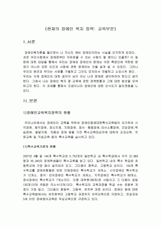 현재의 장애인 복지 정책