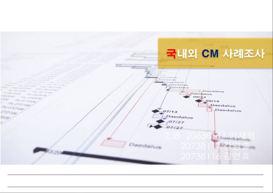 국내외 건축 CM 사례조사 - 가톨릭중앙의료원(서울시 서초구 반포동).PPT자료