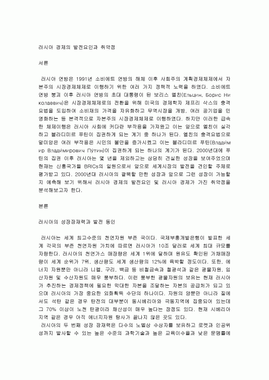 러시아 경제의 발전요인과 취약점