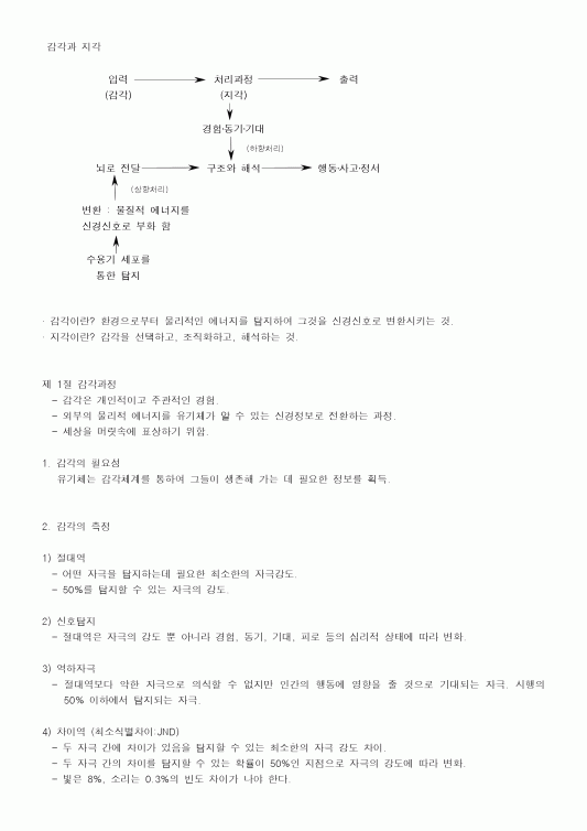 [분석/조사] 감각과 지각