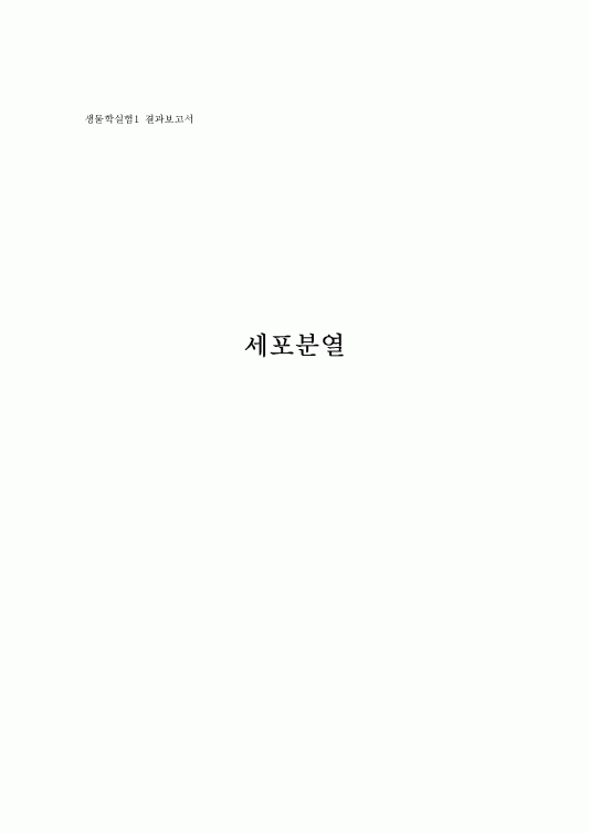 [아주대-생물학실험] (결과) 세포분열