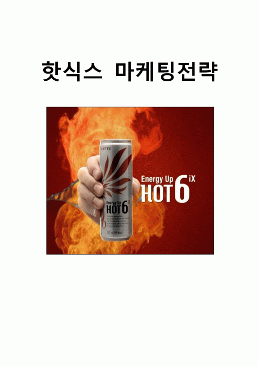 핫식스(HOT6IX) 마케팅STP,SWOT,4P전략분석과 핫식스 HOT6IX 브랜드분석 및 앞으로의 발전방향 제안