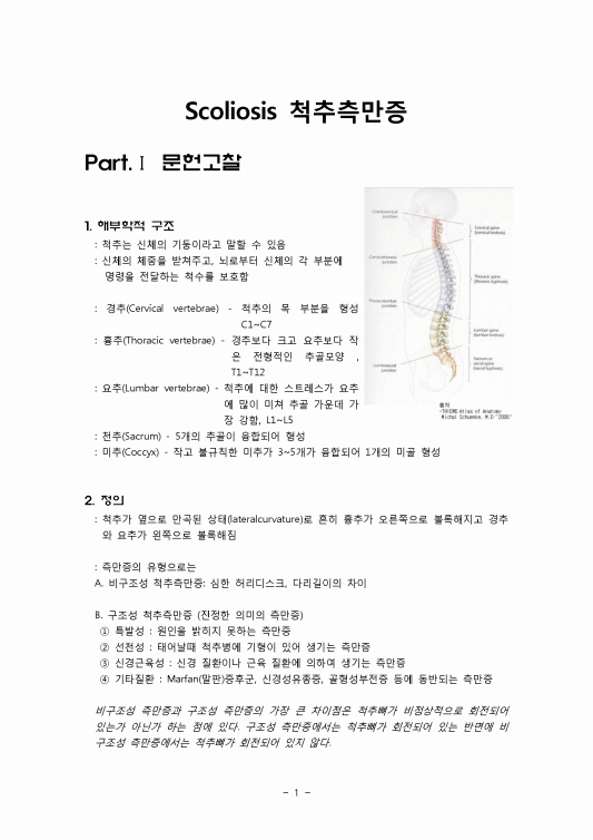 [간호학 임상 CASE] 척추측만증 (Scoliosis)