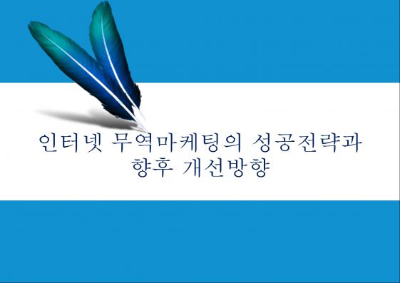 인터넷 무역마케팅의 성공전략과 향후 개선방향.PPT자료