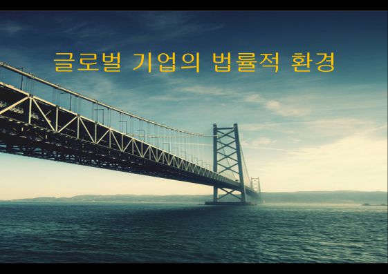 글로벌 기업의 법률적 환경.PPT자료