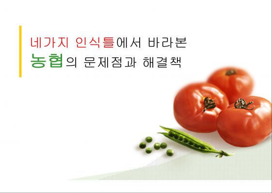네가지 인식틀에서 바라본 농협의 문제점과 해결방안