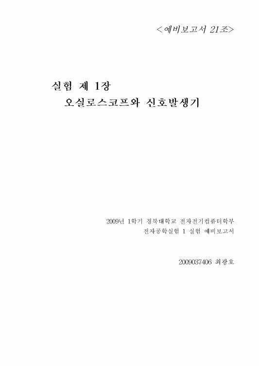 예비보고서 01장