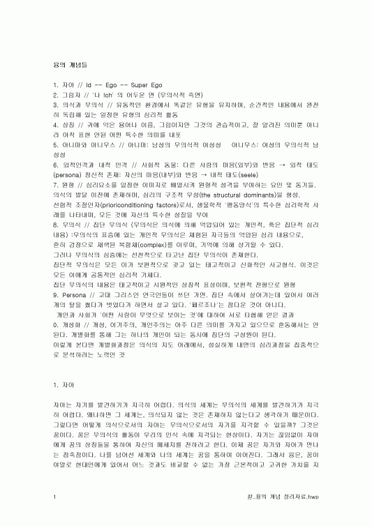 칼 융의 개념에 대해 정리하시오.