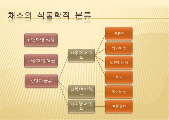 [채소 원예총론] 식물 형태학적 분류.ppt