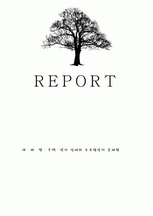 [법률] 주택·상가 임대차 보호법상의 문제점