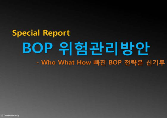 BOP 위험관리방안 - Who What How 빠진 BOP 전략은 신기루 (BOP전략에 대한 쟁점 옹호적측면 비판적측면).ppt
