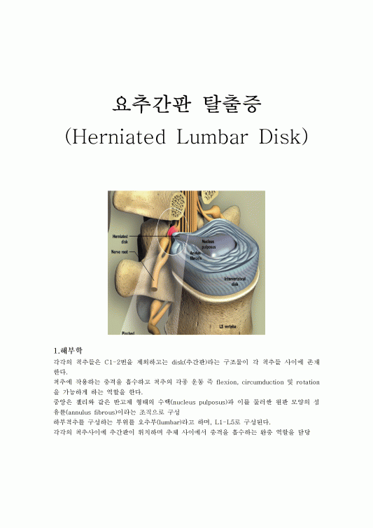 스포츠 선수의 요추간판 탈출증(Herniated Lumbar Disk) 해부학 및 손상,치료 ,재활