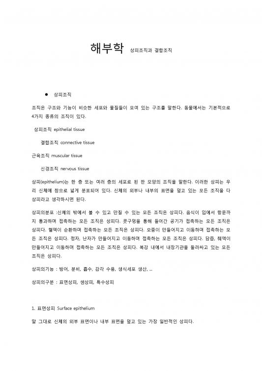 [해부학] 상피조직과 결합조직에 관해