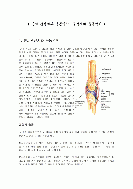 21c현대인을 위한 운동 방법 - 인체 관절계와 운동역학, 골격계와 운동역학
