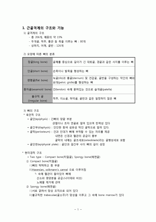 [성인간호학] 근골격계의 구조와 기능, 관절과 인대, 골격근에 관해서