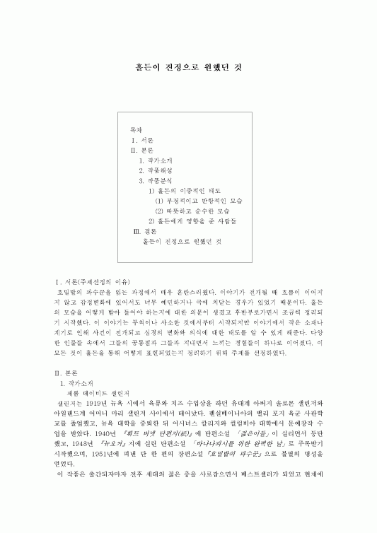 홀든이 진정으로 원했던 것 - english literature 호밀밭 파수꾼 _ 제롬 데이비드 샐린저 지음