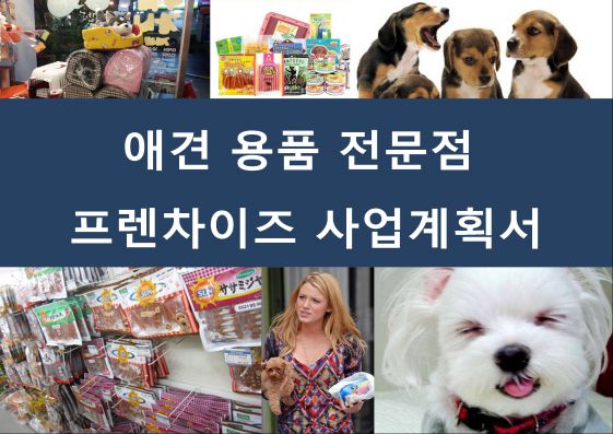 애완용품 전문점 프렌차이즈 사업 계획서.ppt