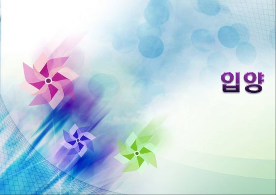 입양,공개입양,해외입양,마케팅,브랜드,브랜드마케팅,기업,서비스마케팅,글로벌,경영,시장,사례,swot,stp,4p