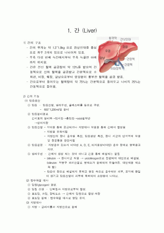 간,담도 구조와 기능 진단검사