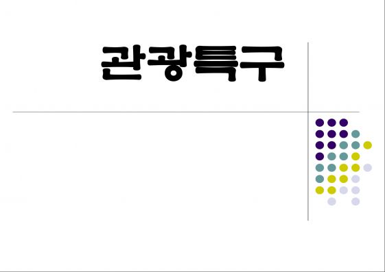 관광특구 레포트 자료
