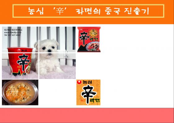농심 ‘신(辛)’ 라면의 중국 진출기.PPT자료