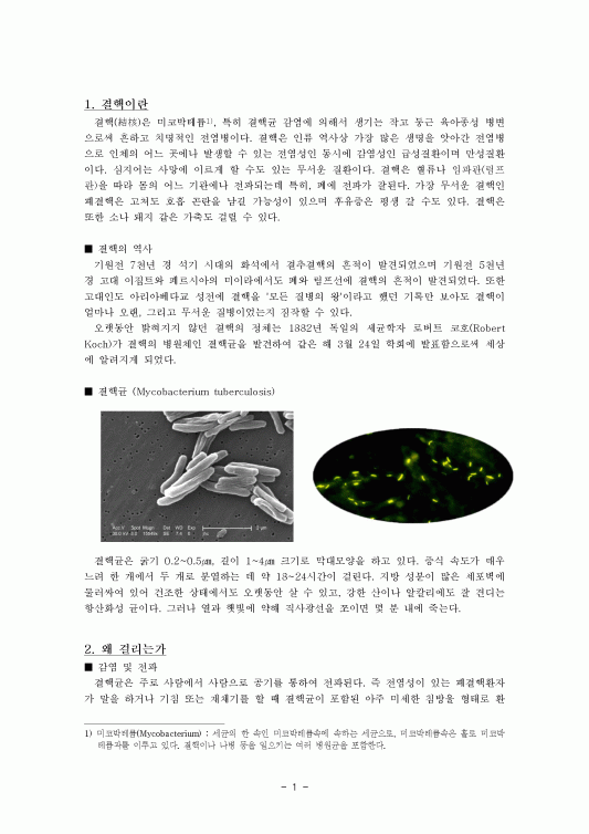 약과건강 - 결핵