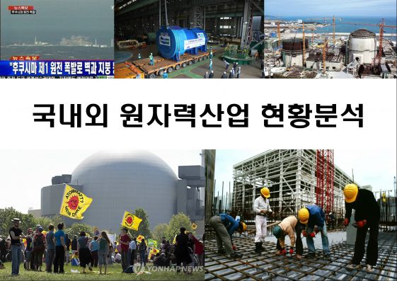 국내외 원자력산업 현황 분석