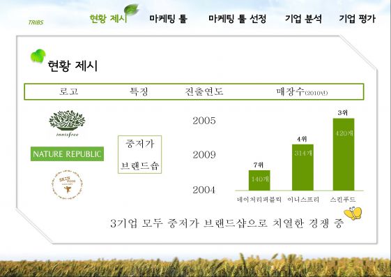 자연주의,이니스프리,마케팅,브랜드,브랜드마케팅,기업,서비스마케팅,글로벌,경영,시장,사례,swot,stp,4p