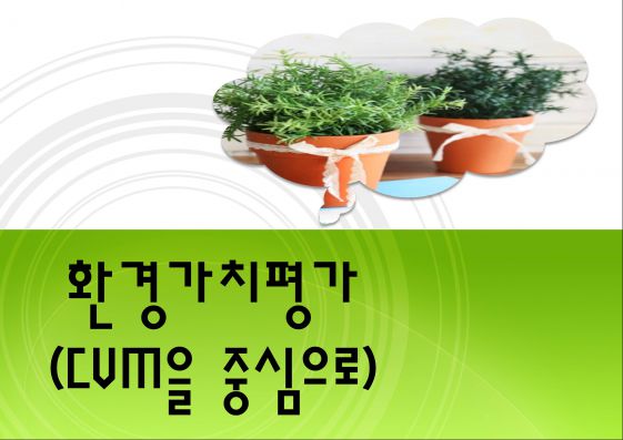 환경가치평가 - CVM을 중심으로 (CVM 간단 체험!, 설문조사, CVM 탐구, CVM의 과정, CVM의 활용).PPT자료