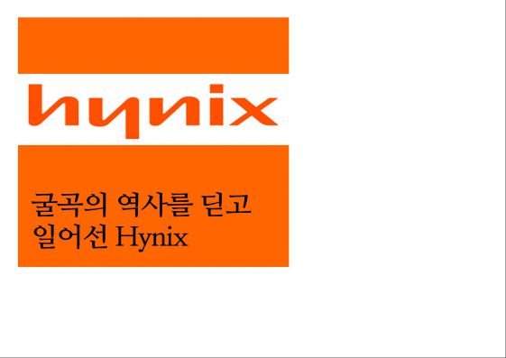 굴곡의 역사를 딛고 일어선 하이닉스(Hynix) (경영이념, 지배구조, 사업규모, 매출현황, 블루칩 프로젝트).PPT자료