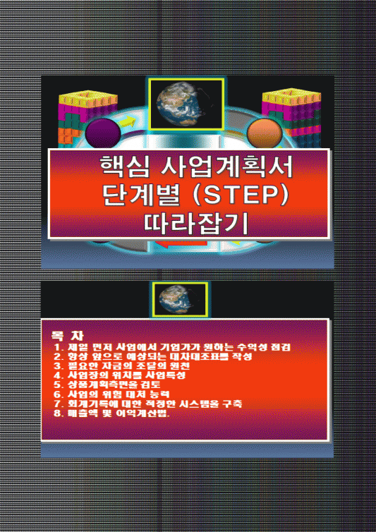 11. 핵심 사업계획서 단계별 (STEP) 따라잡기