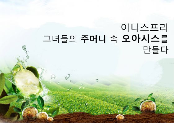 이니스프리, 그녀들의 주머니 속 오아시스를 만들다.PPT자료