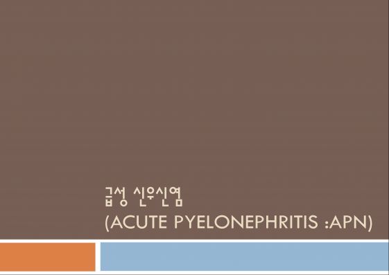 APN 레포트 자료