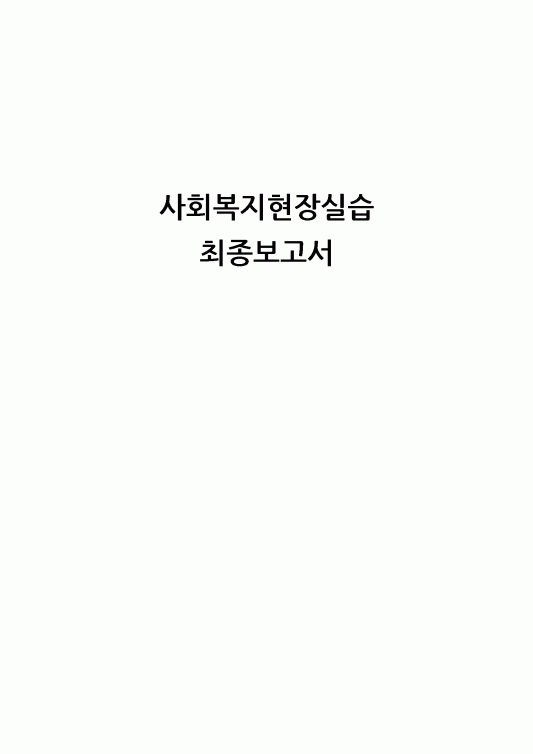 [사회복지현장실습 최종보고서] 서울 청소년과 놀이문화 연구소  현장 실습 보고서 (기관소개, 사업소개, 감상 및 전망)(평가우수자료)