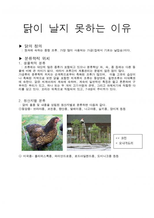 닭이 날지 못하는 이유(수정본)