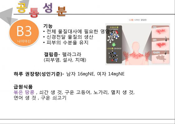 6쪽 미리보기