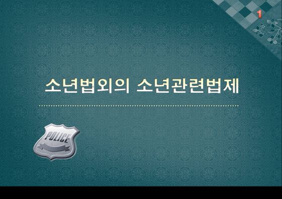 소년법외의 소년관련법제 - 보호소년,청소년보호법,청소년복지지원법,청소년성보호에관한법률,소년관련법제.PPT자료