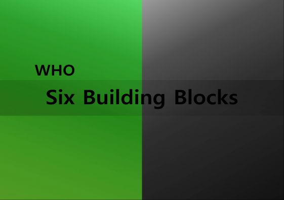 우크라이나건강시스템,건강시스템사례,Six Building Blocks,보건경제학