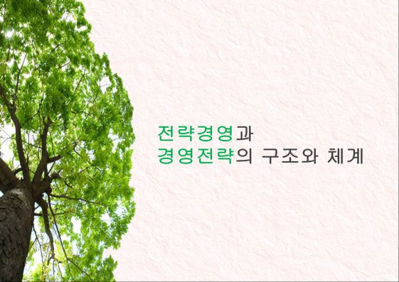 전략경영의구조와체계,경영전략과전략경영,전략경영시스템,글로벌경영전략