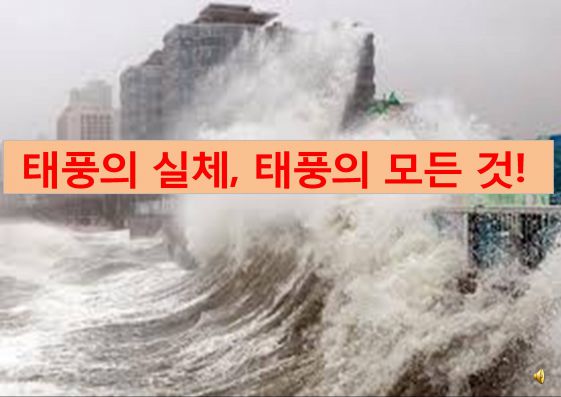 태풍의 모든것(태풍의 실체)