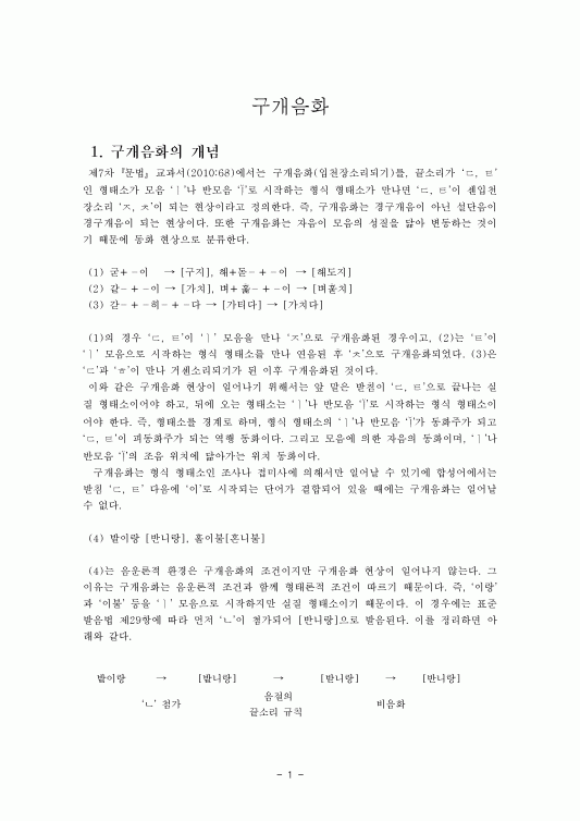 구개음화 레포트 자료