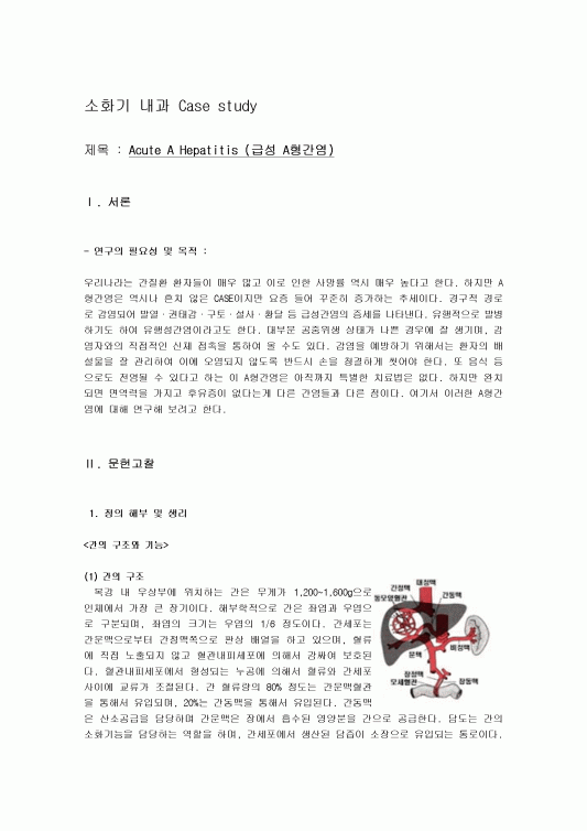 Acute A Hepatitis 급성 A형간염