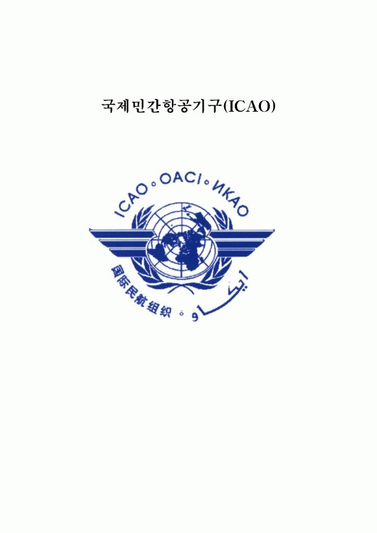 국제민간항공기구(ICAO)