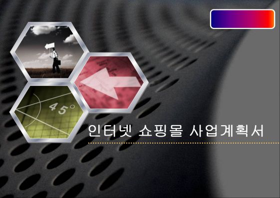 인터넷 쇼핑몰 사업계획서.ppt