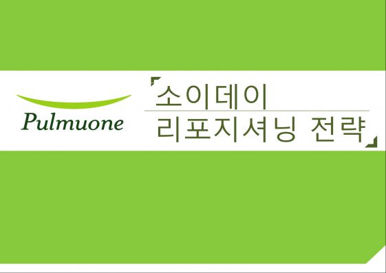 풀무원기업분석및경영사례,풀무원마케팅사례,브랜드마케팅,서비스마케팅,글로벌경영,사례분석,swot,stp,4p