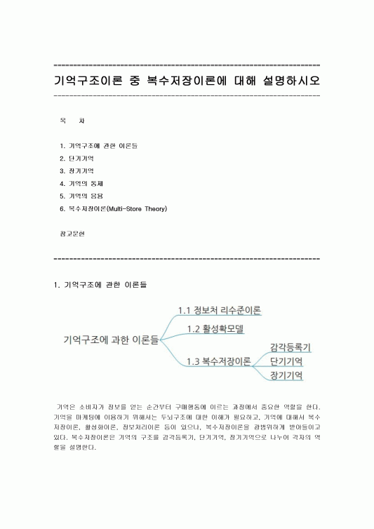 [소비자심리학] 기억구조이론 중 복수저장이론에 대해 설명